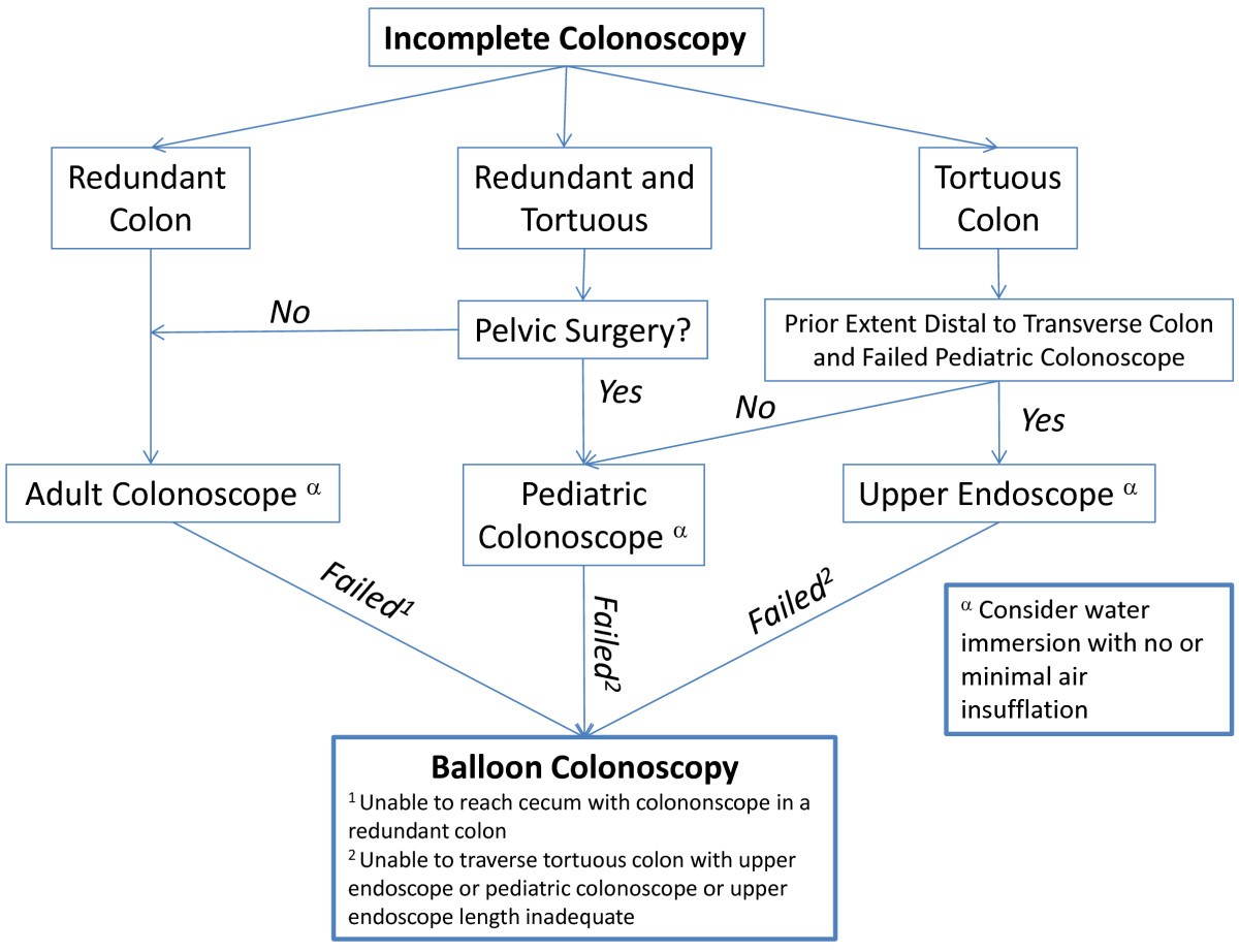 High success rate of repeat colonoscopy with standard endoscopes in ...