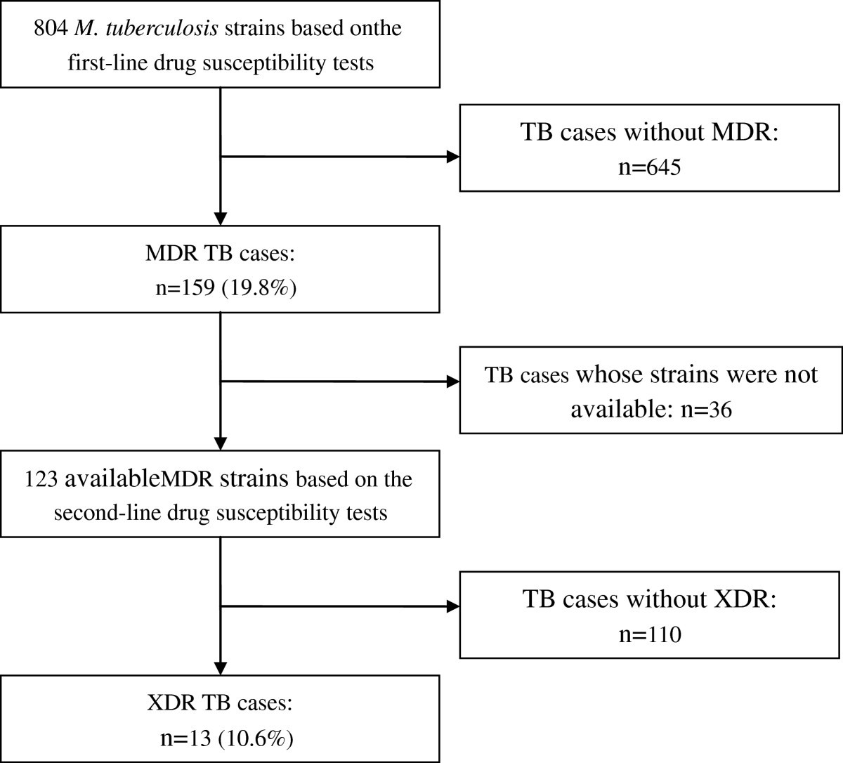 Genotyping and clinical characteristics of multidrug and extensively ...