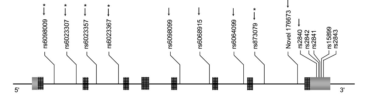 Evaluation of DOK5 as a susceptibility gene for type 2 diabetes and ...