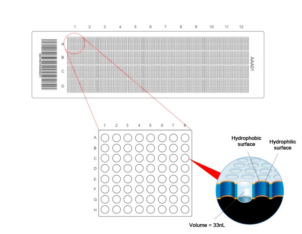 Optimization of simultaneous screening of the main mutations involved in non-syndromic deafness ...