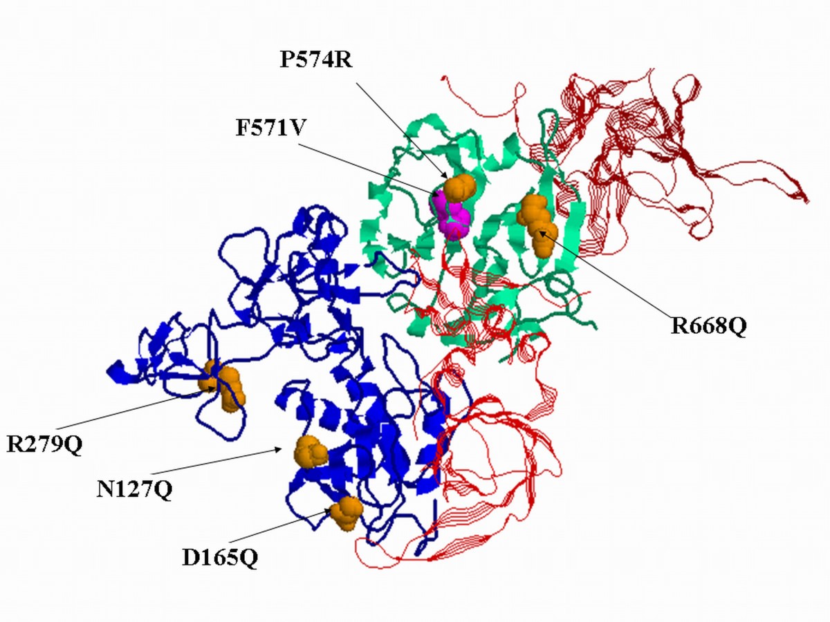 Matrix Metalloproteinase-9 (MMP-9) polymorphisms in patients with ...