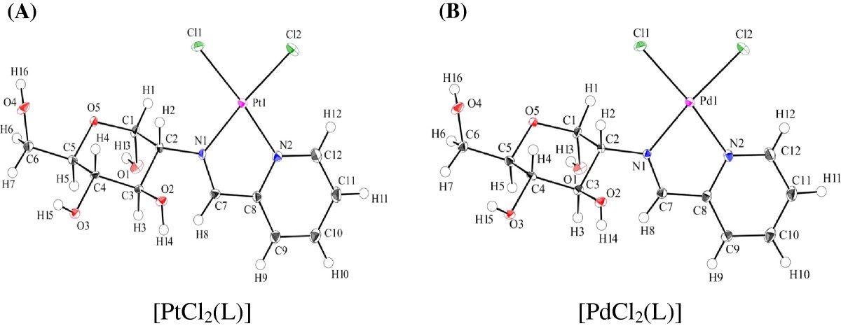 Anti-cancer effects of newly developed chemotherapeutic agent ...