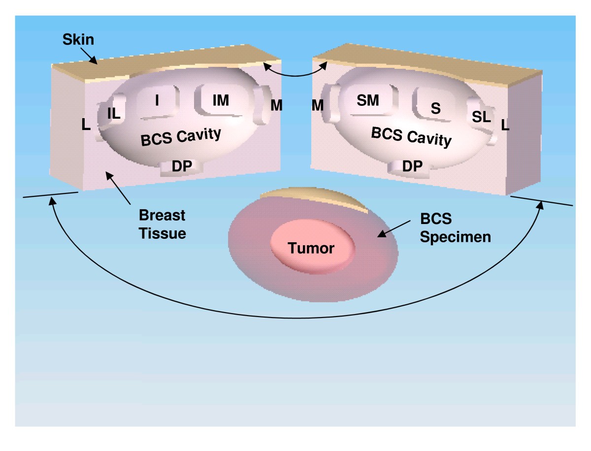 Standardized and reproducible methodology for the comprehensive and ...
