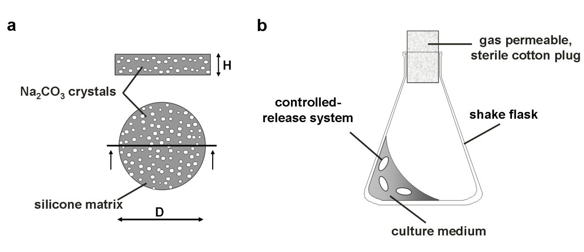 Controlling pH in shake flasks using polymer-based controlled-release ...