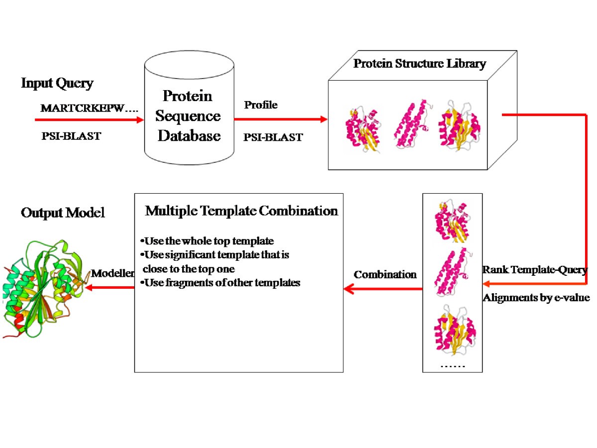 A multi-template combination algorithm for protein comparative modeling | BMC Structural Biology ...