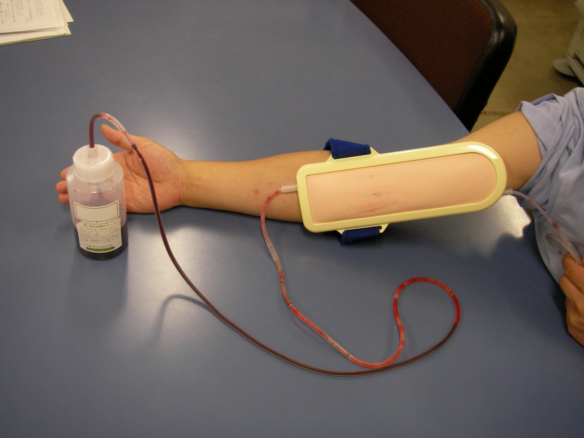 Clinical training: a simulation program for phlebotomy | BMC Medical ...