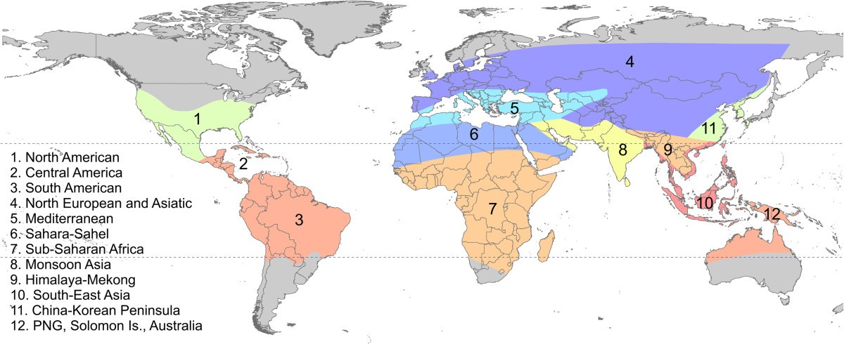 Geographical variation in Plasmodium vivax relapse | Malaria Journal ...