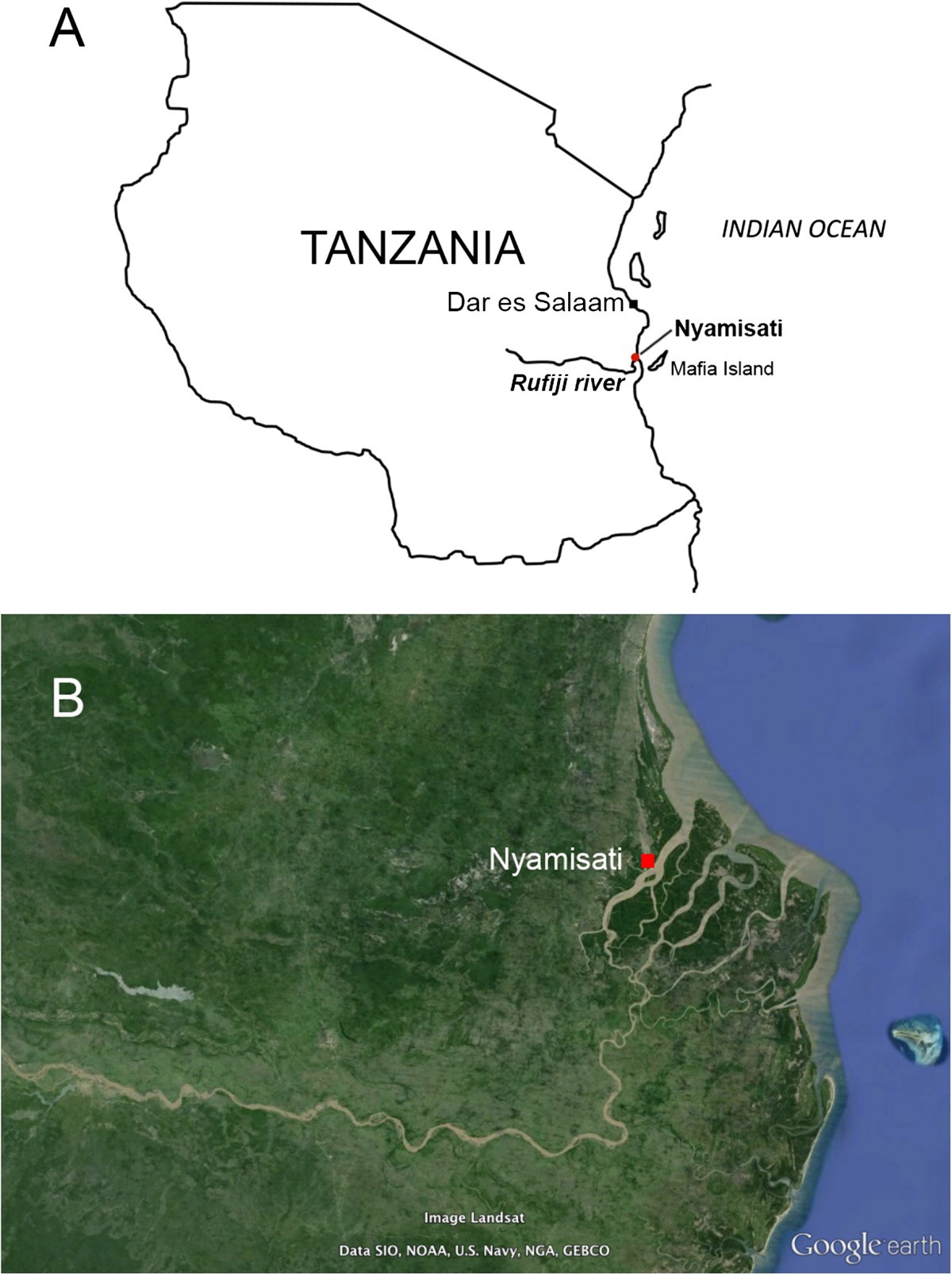 Epidemiology of malaria in a village in the Rufiji River Delta ...