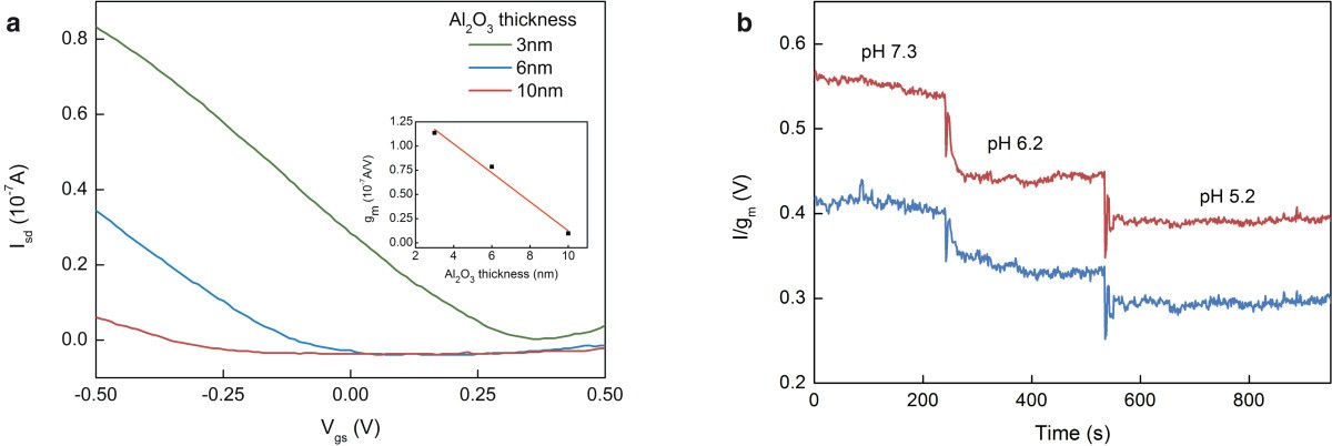 Morphological and chemical stability of silicon nanostructures and ...