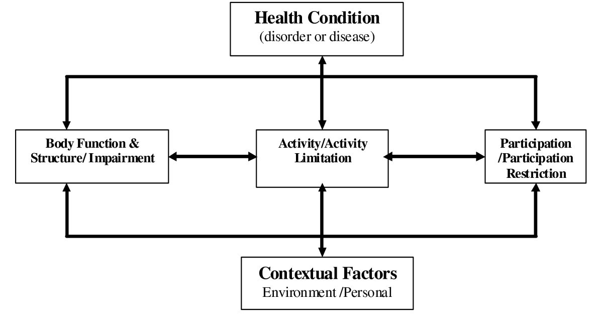 Measuring the ICF components of impairment, activity limitation and ...