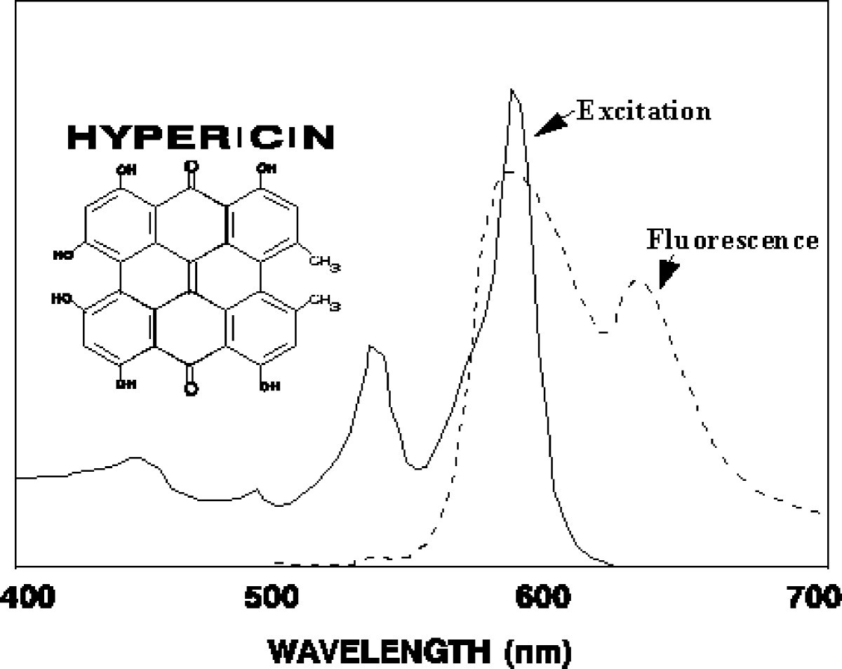 Photodynamic therapy and tumor imaging of hypericin-treated squamous ...