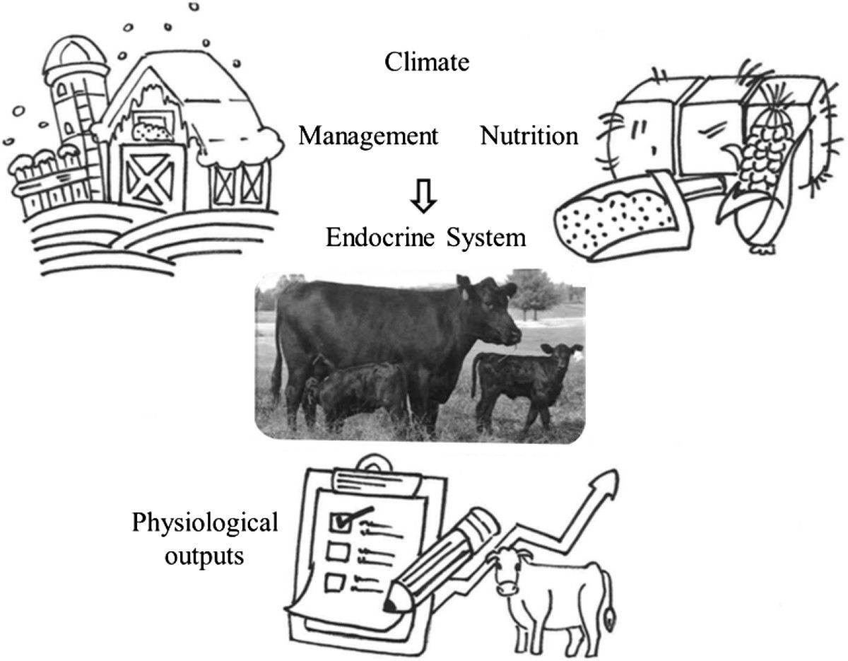 Environmental stressors influencing hormones and systems physiology in ...
