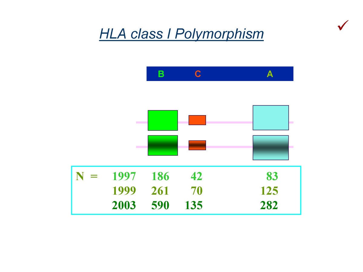 Polymorphism in clinical immunology – From HLA typing to immunogenetic profiling | Journal of ...