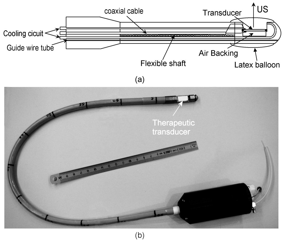 Treatment of esophageal tumors using high intensity intraluminal ...