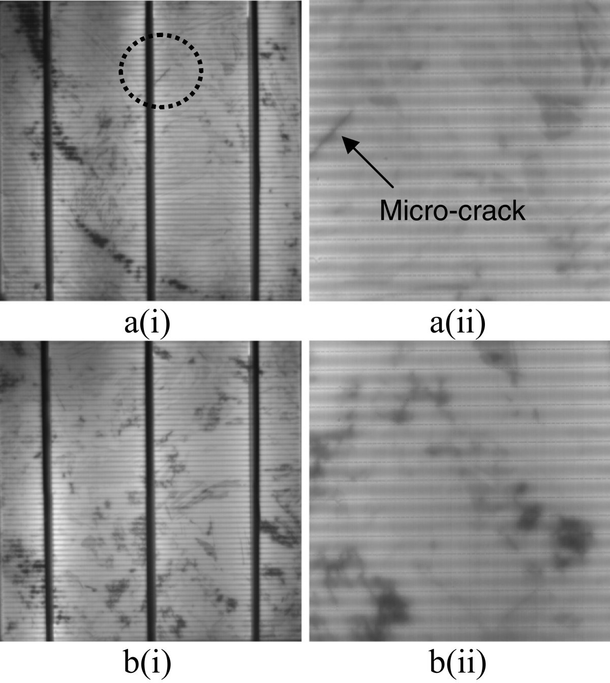 Micro-crack detection of multicrystalline solar cells featuring an ...