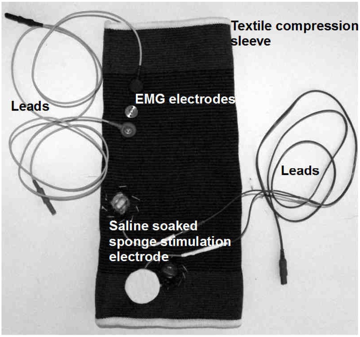 Nonlinear analysis of electromyogram following gait training with ...