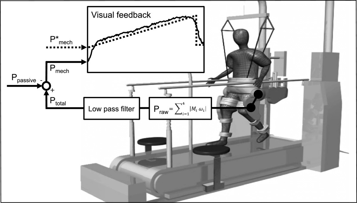 Cardiopulmonary exercise testing early after stroke using feedback ...