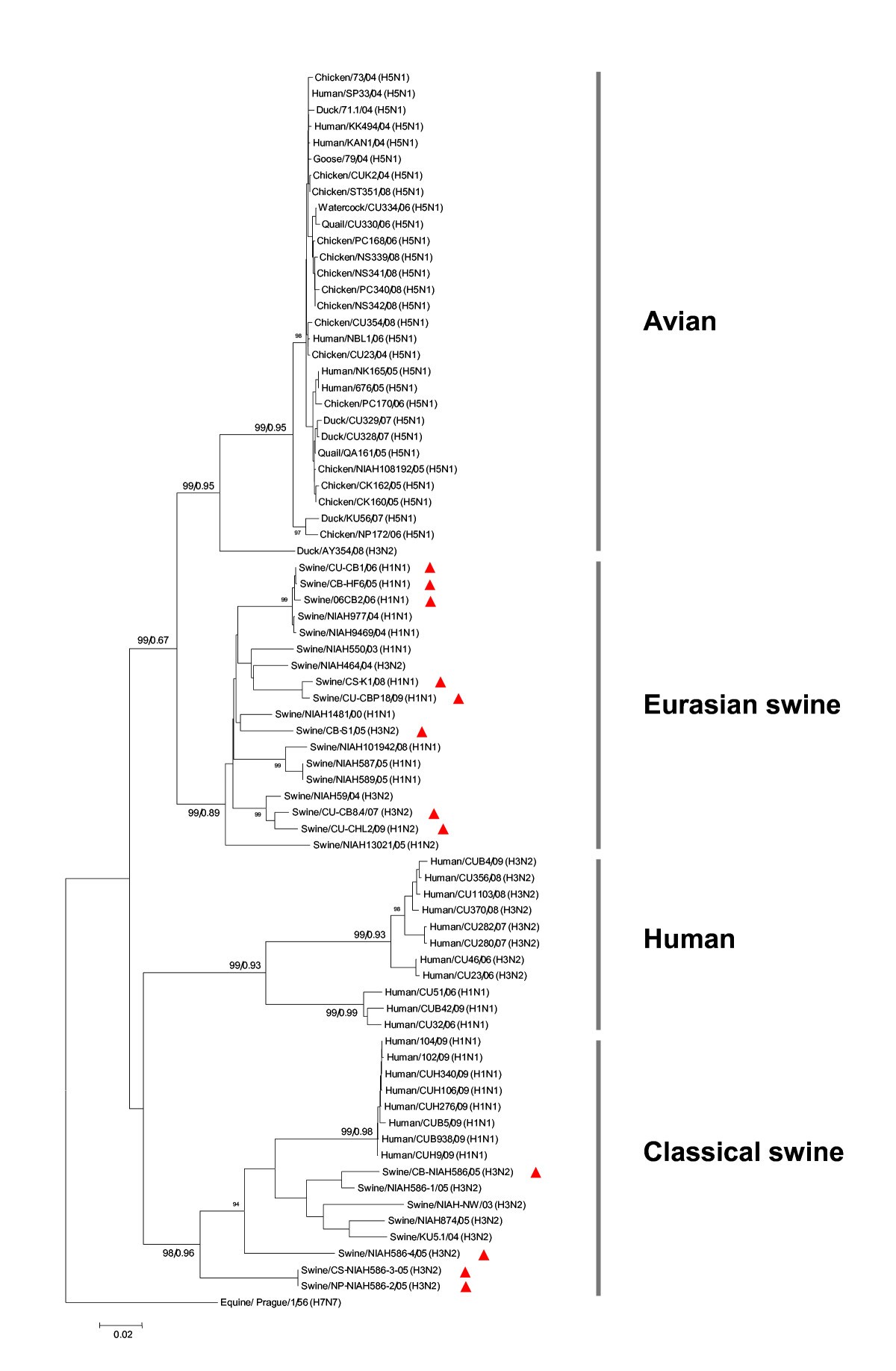 Genetic variations of nucleoprotein gene of influenza A viruses ...