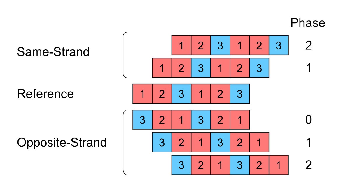 Same-strand overlapping genes in bacteria: compositional determinants ...