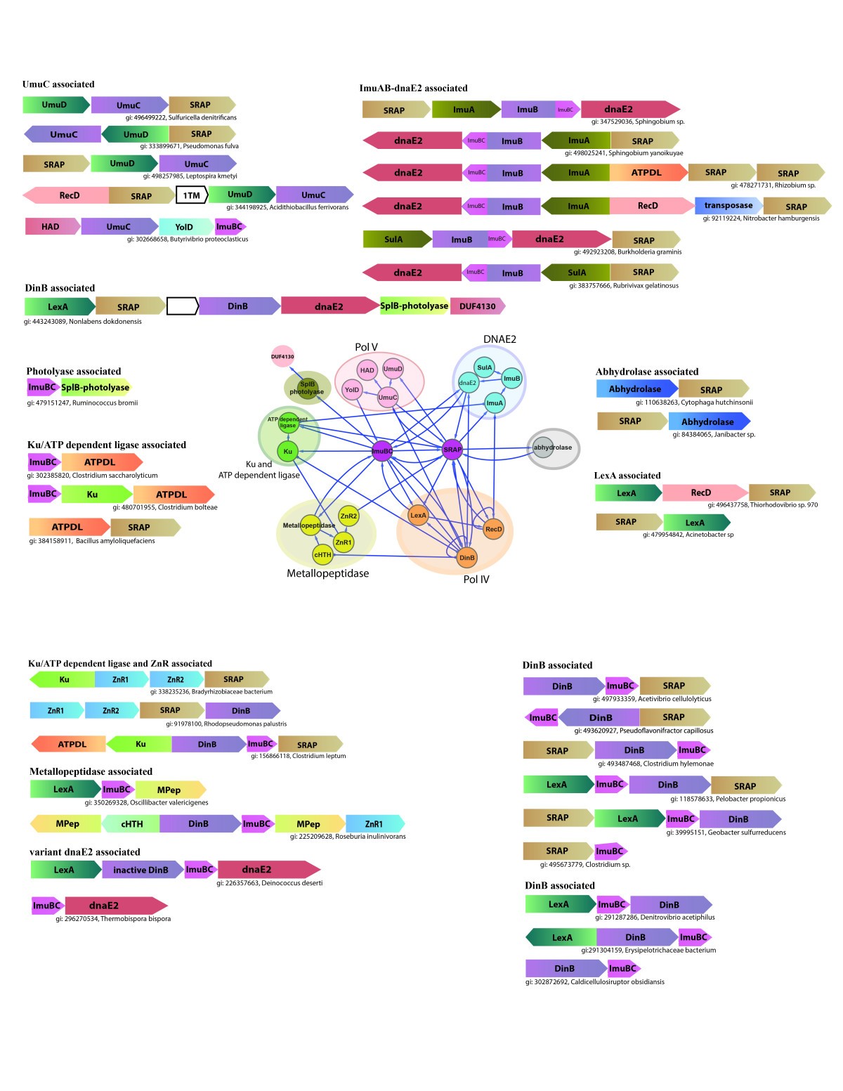 Novel autoproteolytic and DNA-damage sensing components in the ...