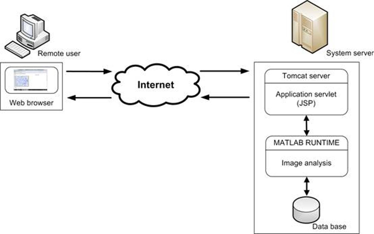 Using MATLAB software with Tomcat server and Java platform for remote image analysis in ...