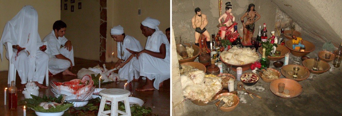 From Eshu to Obatala: animals used in sacrificial rituals at Candomblé ...