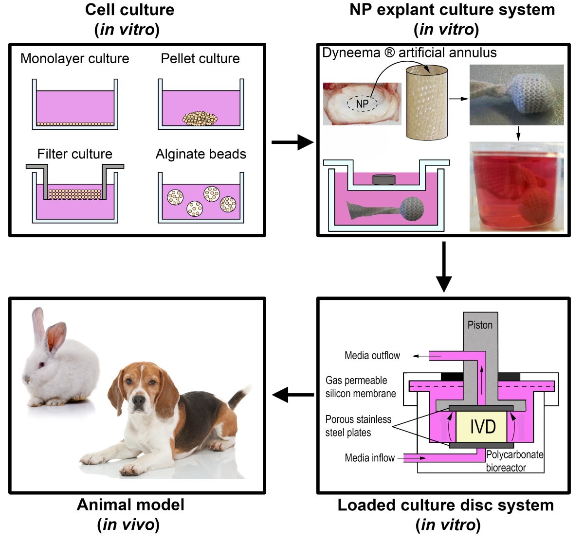 Potential regenerative treatment strategies for intervertebral disc ...