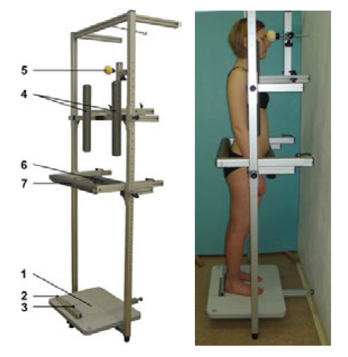Optimization of the examination posture in spinal curvature assessment ...