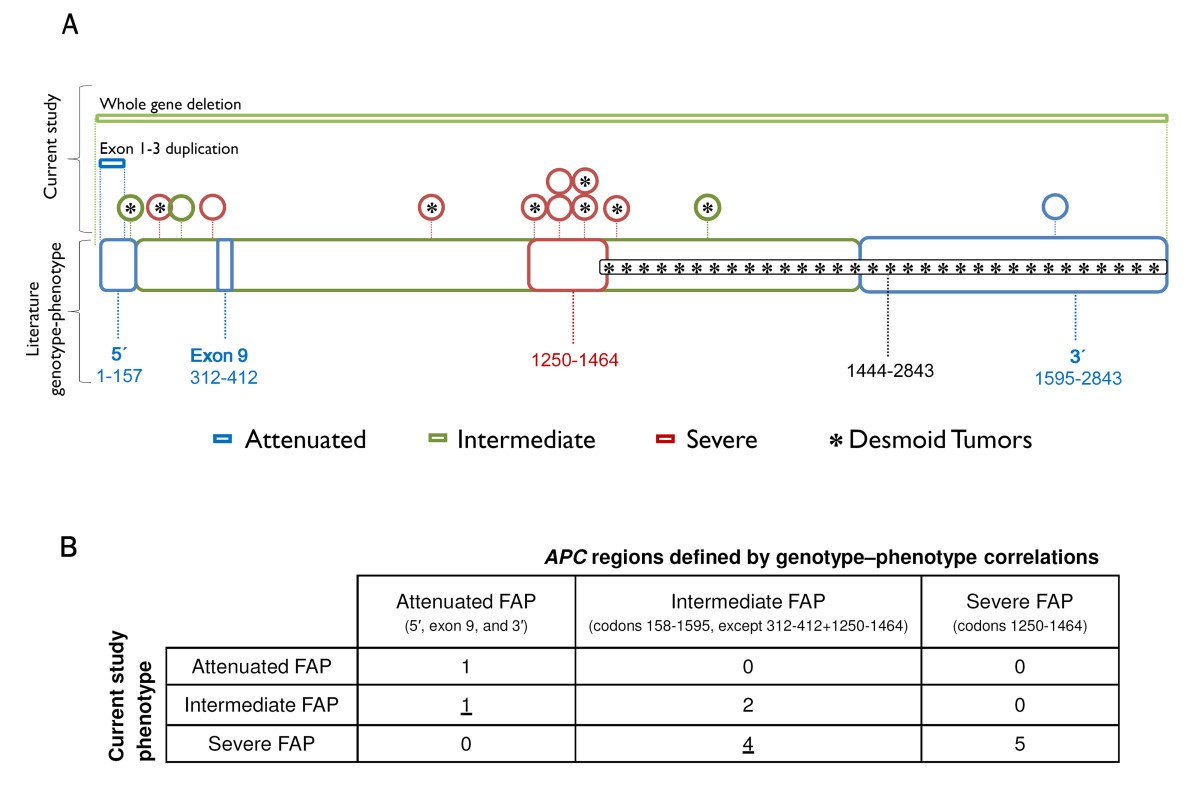 Mutational spectrum of the APC and MUTYH genes and genotype–phenotype ...