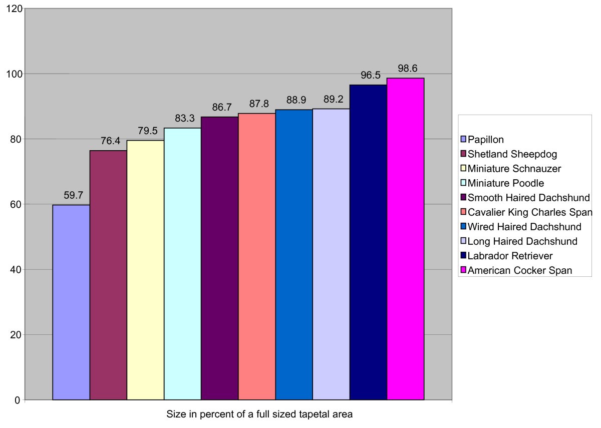 Normal color variations of the canine ocular fundus, a retrospective ...
