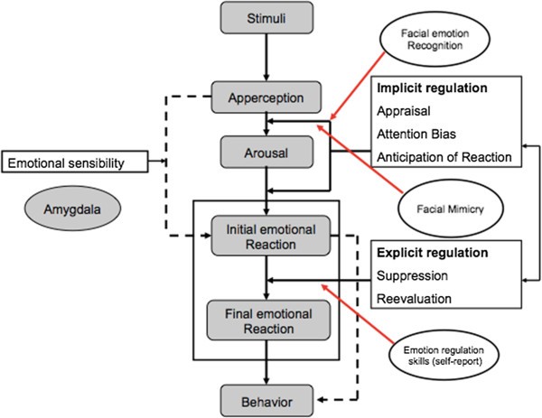 Non-suicidal self-injury and emotion regulation: a review on facial ...