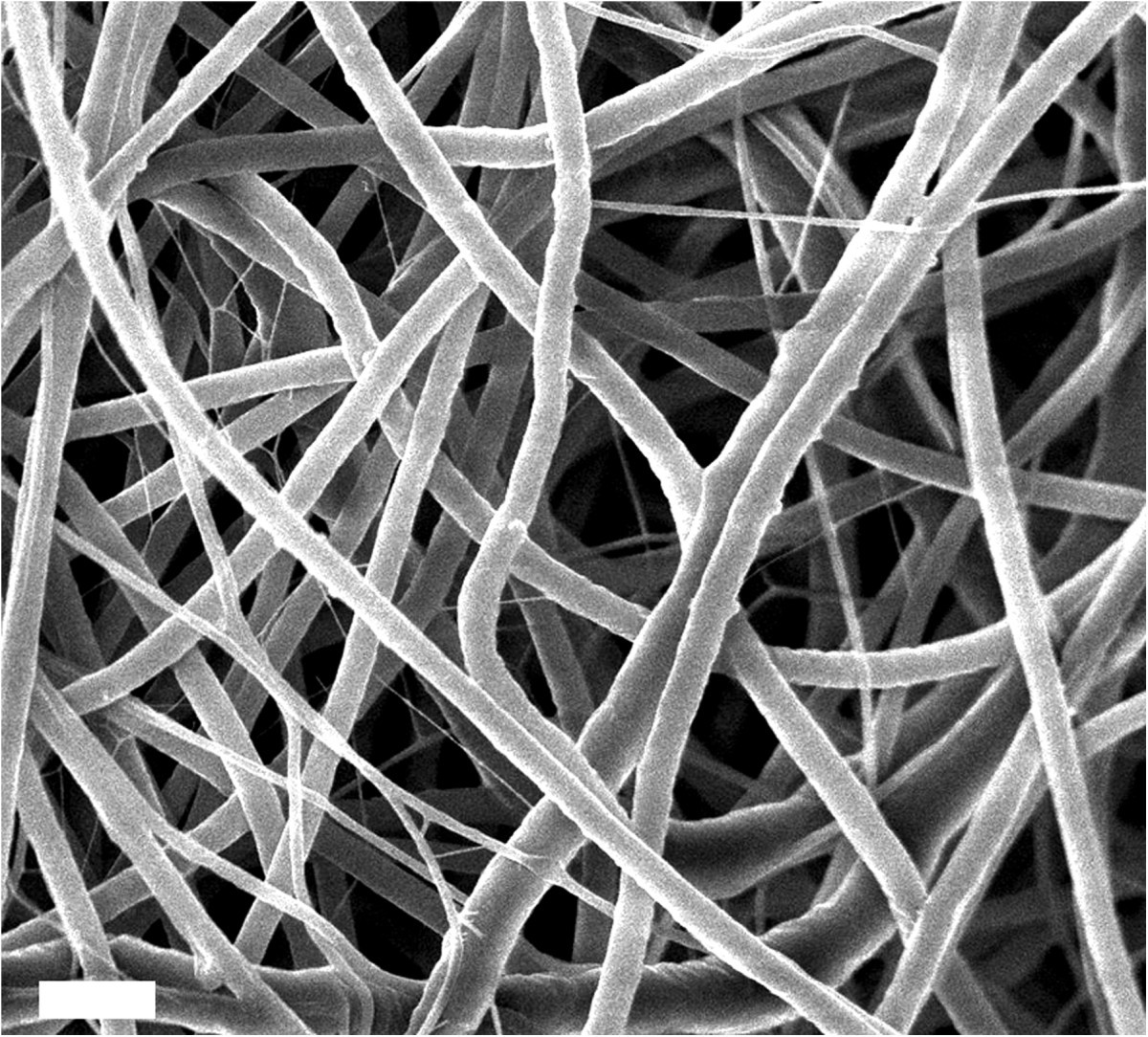 Electrospun nanofibers as versatile interfaces for efficient gene delivery | Journal of ...