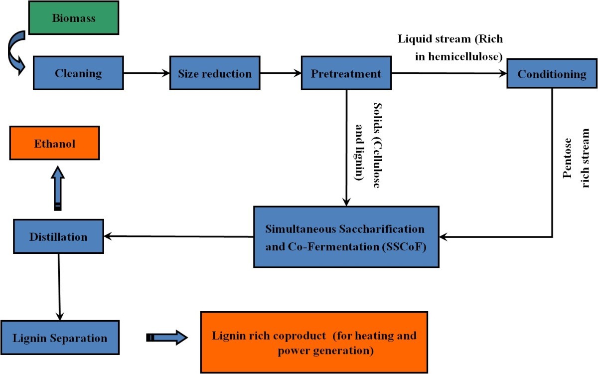 Impact of pretreatment and downstream processing technologies on ...