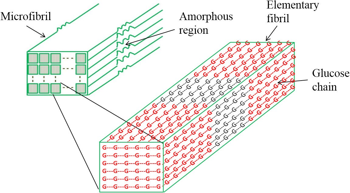 Stochastic molecular model of enzymatic hydrolysis of cellulose for ...
