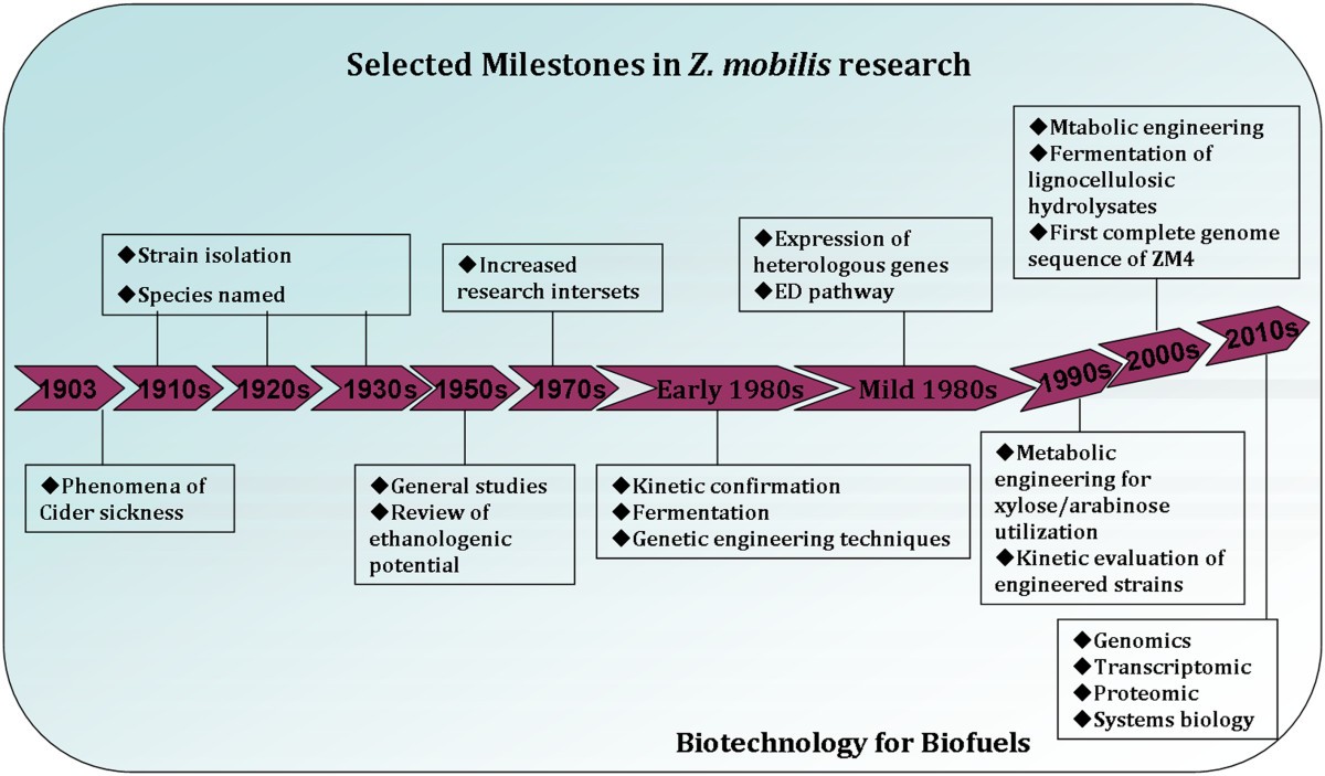 Zymomonas mobilis: a novel platform for future biorefineries ...
