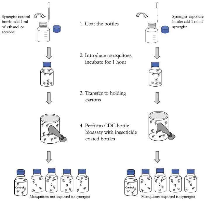 Comparison of the standard WHO susceptibility tests and the CDC bottle ...