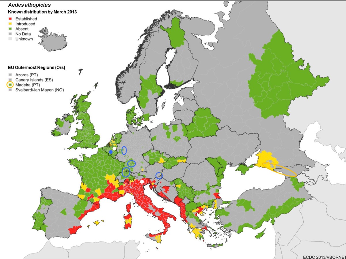 Development of guidelines for the surveillance of invasive mosquitoes ...