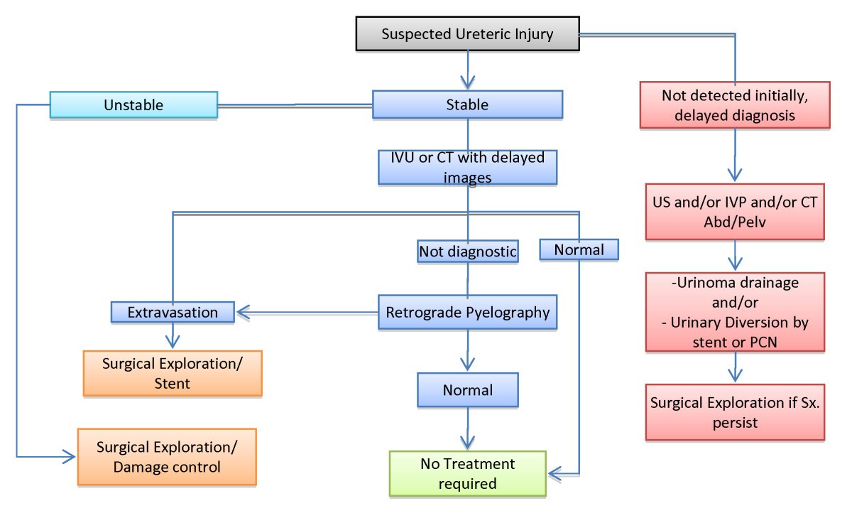 A review of ureteral injuries after external trauma | Scandinavian ...