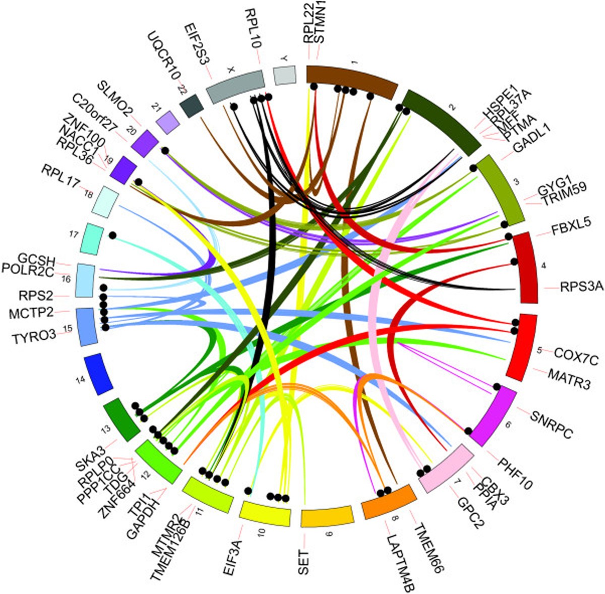 Processed pseudogene insertions in somatic cells | Mobile DNA | Full Text