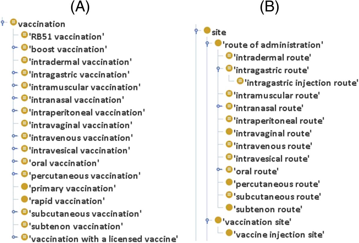 Ontology representation and analysis of vaccine formulation and ...