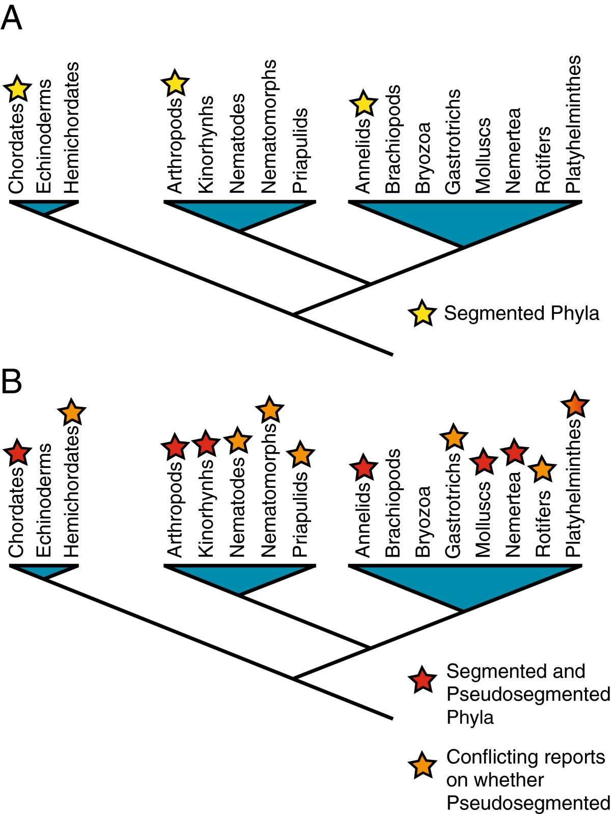 What is a segment? | EvoDevo | Full Text
