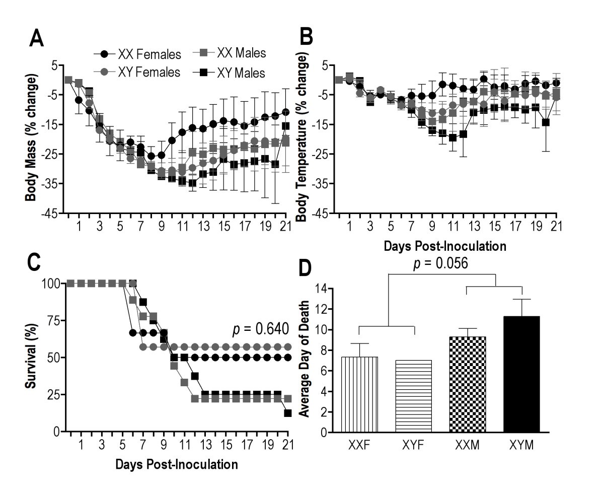 Sex Chromosome Complement Contributes To Sex Differences In