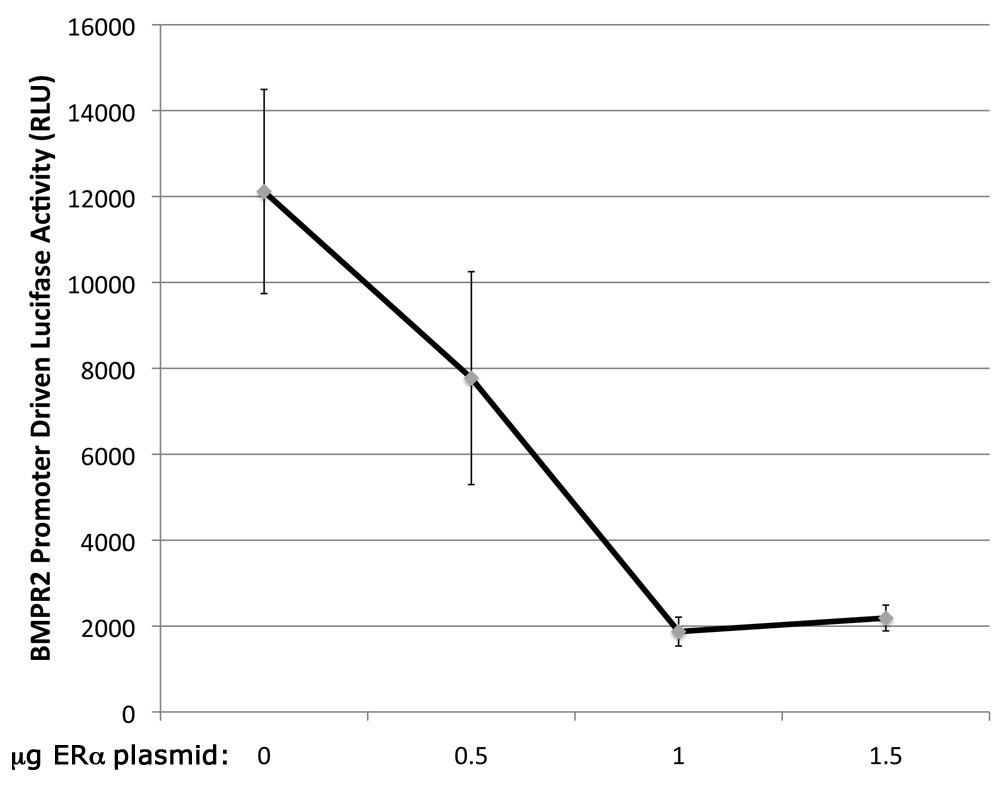 BMPR2 expression is suppressed by signaling through the estrogen ...