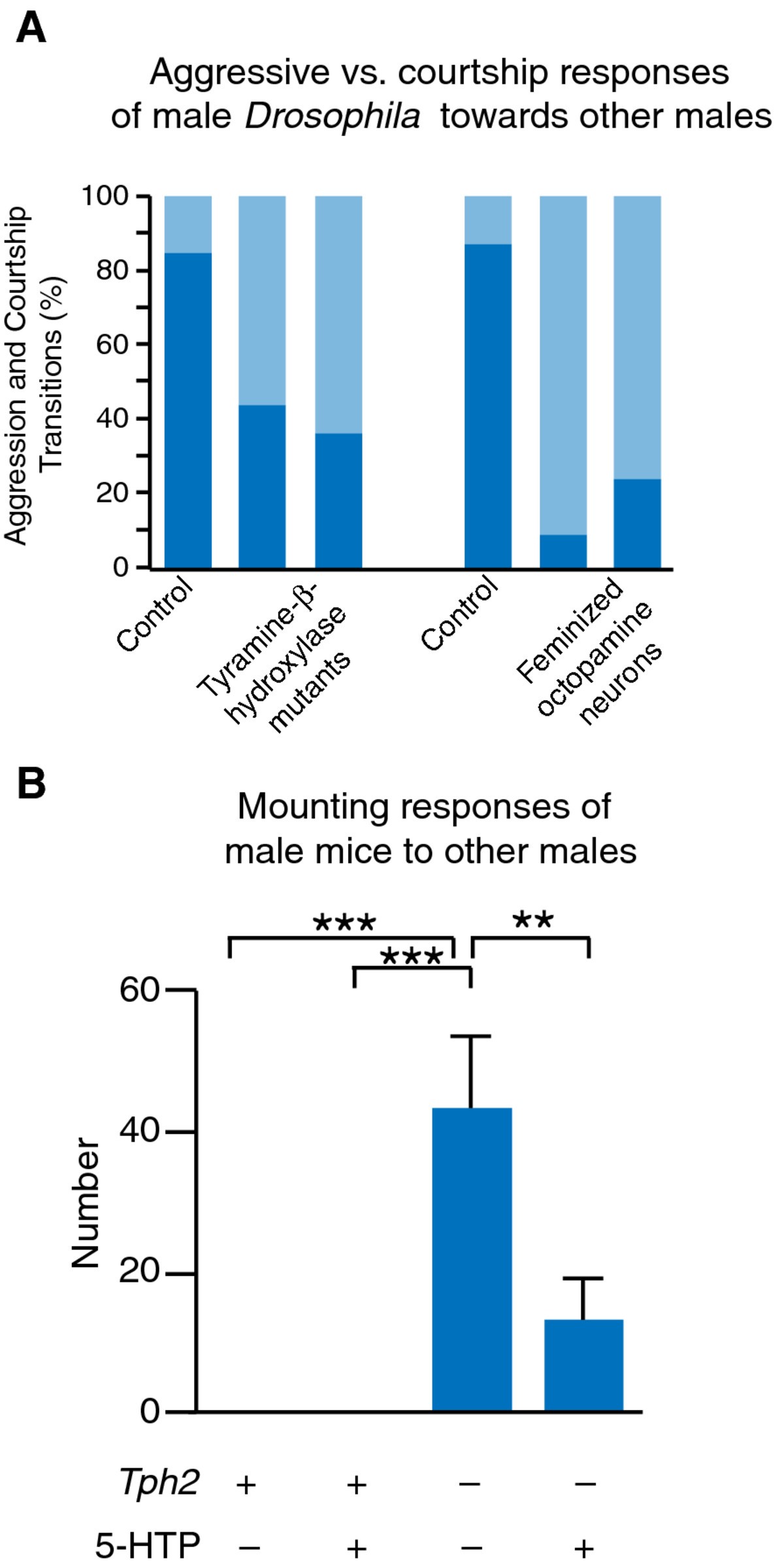 Sex Differences In Behavioral Decision Making And The Modulation Of