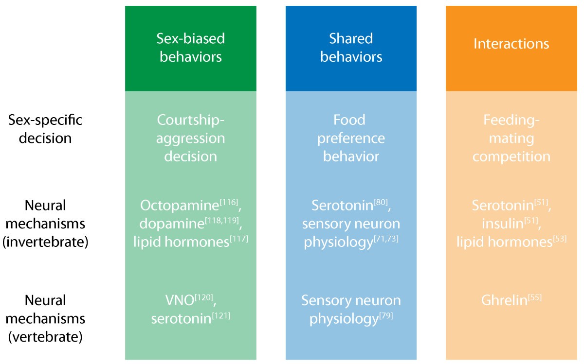 Sex Differences In Behavioral Decision Making And The Modulation Of