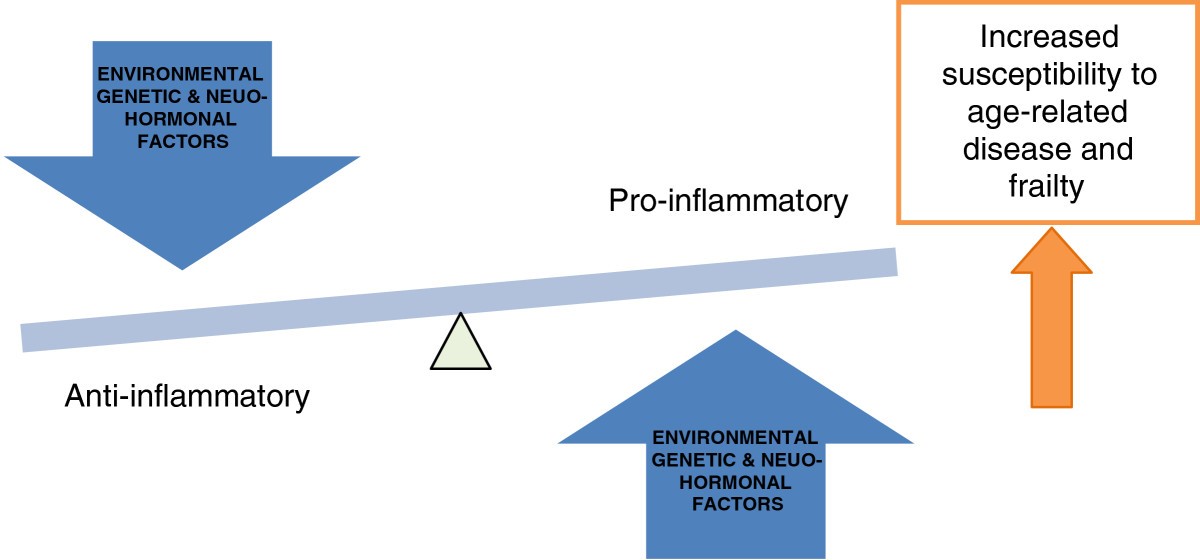 Understanding how we age: insights into inflammaging | Longevity ...