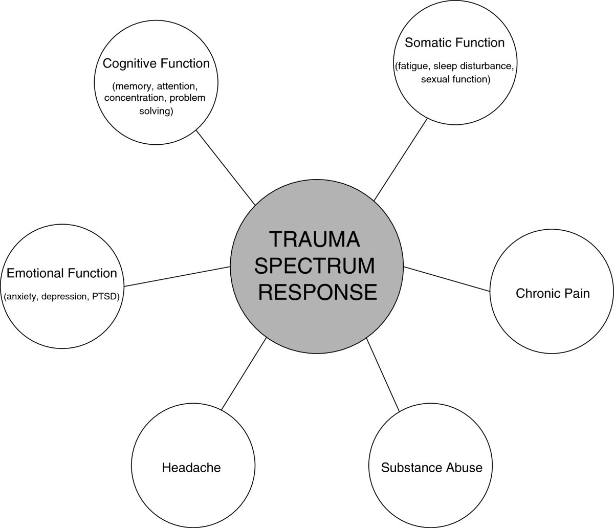 The effectiveness of acupuncture research across components of the ...