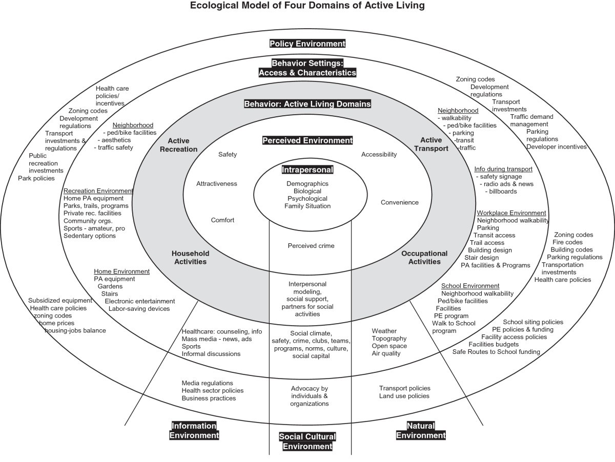 Intrapersonal, social and physical environmental determinants of ...