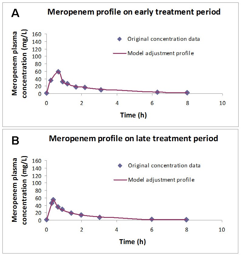 Assessment of pharmacokinetic changes of meropenem during therapy in ...