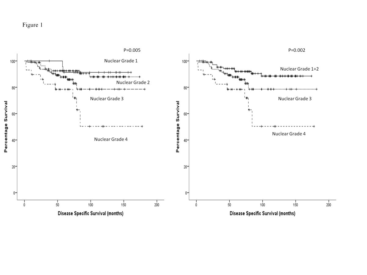 Reclassification of the Fuhrman grading system in renal cell carcinoma ...